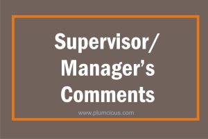 100 Supervisor Comments And Recommendations For Improvement On ...